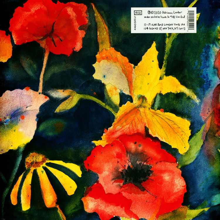 Adrianne Lenker - Songs And Instrumentals [2LP]